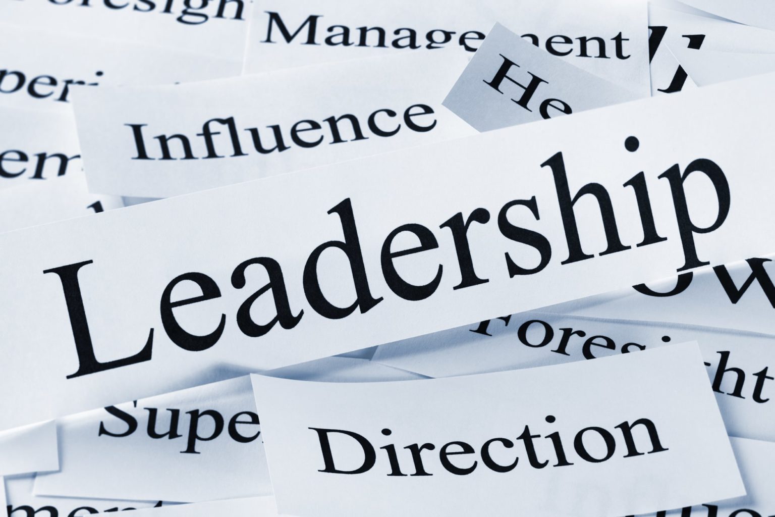5 Practices of Exemplary Leadership - Artzmania